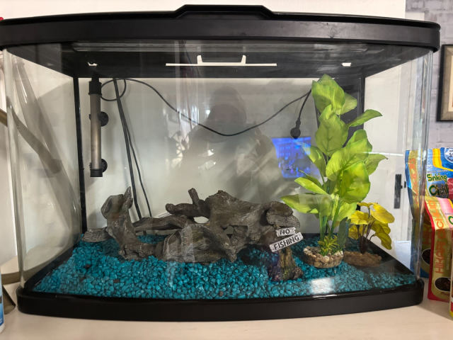60L curved fish tank and accessories | Pet Products | Gumtree Australia ...