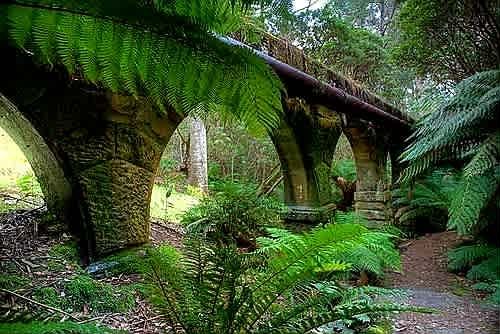 Fern Tree House Wanted - for Rent | Gumtree Australia