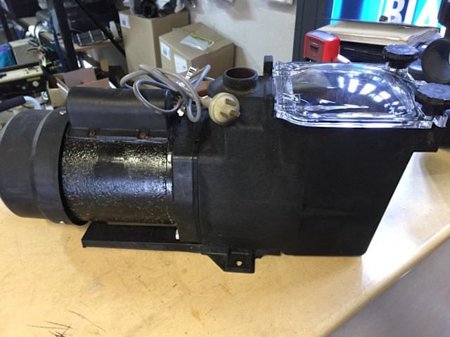 Poolrite PM60 Pump Australian made quality with 2year wnty | Pool ...