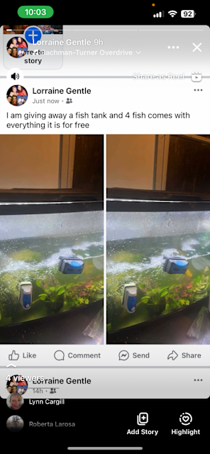 Fish tank | Pet Products | Gumtree Australia Liverpool Area - Busby ...