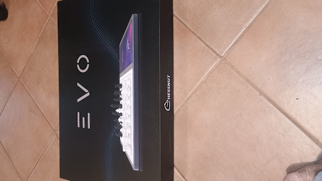 Chestnut Evo - Electronic Chess set - Board Games in Kardinya WA ...