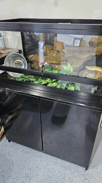 Python Snake Enclosure Terrarium Cabinet | Pet Products | Gumtree ...