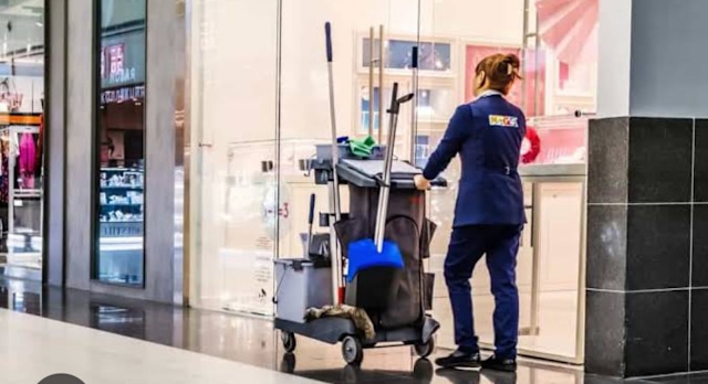 Cleaner for Euroa | Cleaner & Housekeeper | Gumtree Australia ...