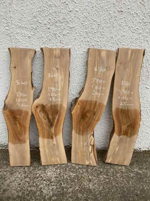 Olive tree craft wood timber slabs Dry and sanded flat ready to use ...