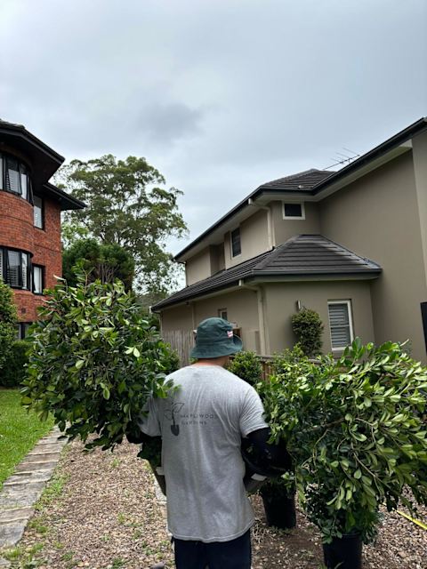 Gardening Job | Gardening & Landscaping | Gumtree Australia Ku-ring-gai ...