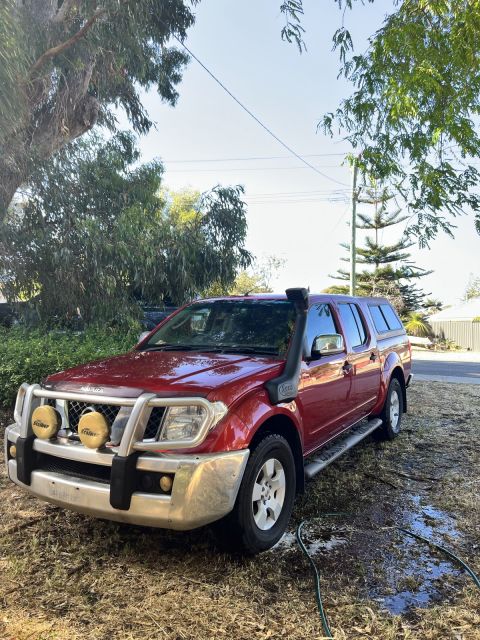 2008 NISSAN NAVARA ST-X (4x4) 6 SP MANUAL DUAL CAB P/UP | Cars, Vans ...