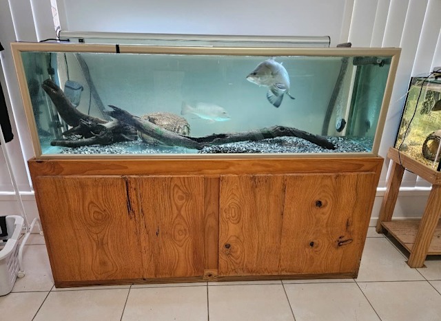 5 foot fish tank and stand | Pet Products | Gumtree Australia Pine ...