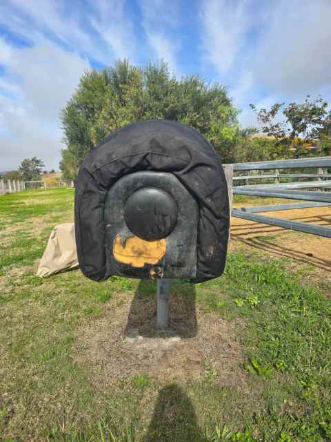 Phantom Mount Mare with built in Colorado AV. | Horses & Ponies ...