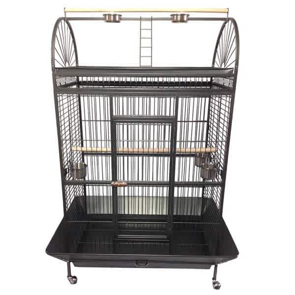 XL parrot cage with gym stand bird cage 178cm | Pet Products | Gumtree ...