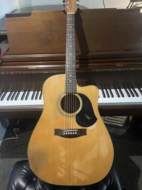 Maton ecw80 acoustic/electric 1997 AA - Guitars & Amps in Drysdale VIC ...