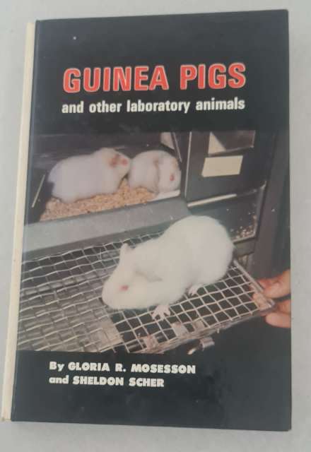 Guinea Pigs & Other Laboratory Animals | Pet Products | Gumtree ...