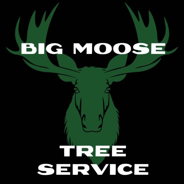 Big Moose Tree Service - Free quote! Fully Qualified and Insured ...