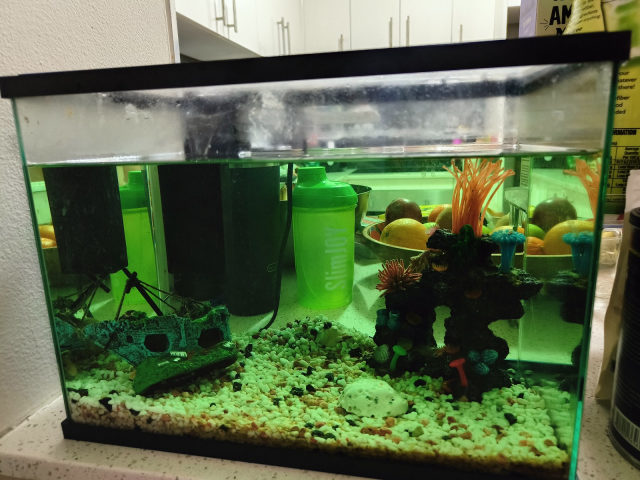 Fish tank from Petbarn with Starter Kit | Pet Products | Gumtree ...