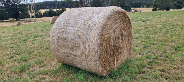 Round Meadow Hay Bales | Pet Products | Gumtree Australia Murrindindi ...