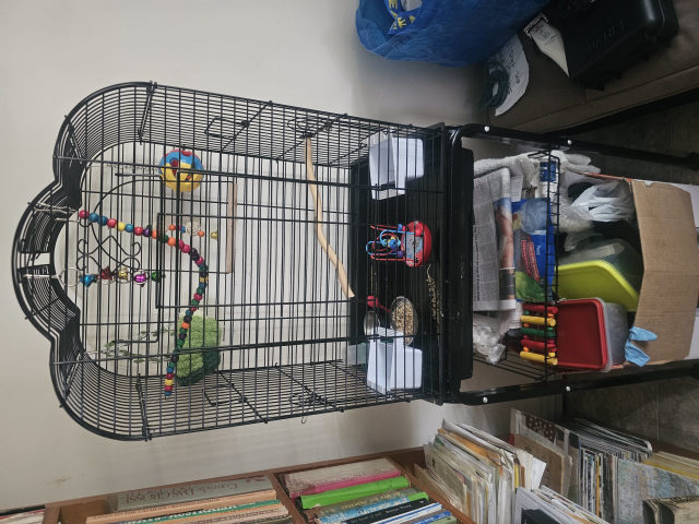Bird Cage | Pet Products | Gumtree Australia Leichhardt Area - Balmain ...
