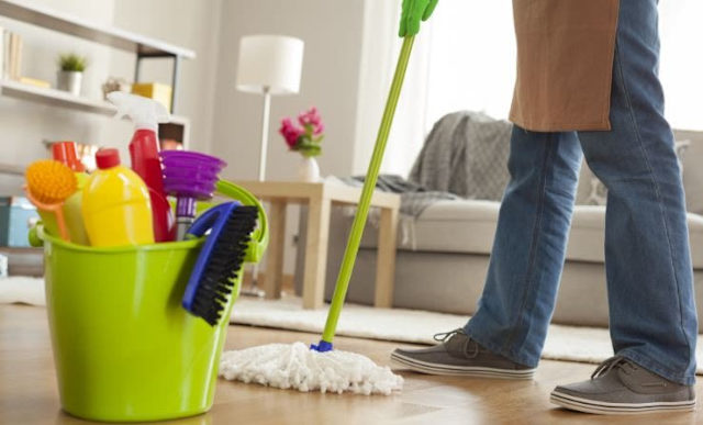Domestic house cleaner wanted $35/hr up to 4hrs work each week ...
