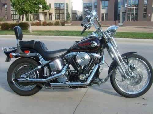 wanted harley davidson evo softail springer fxsts fxstc fxdwg ...