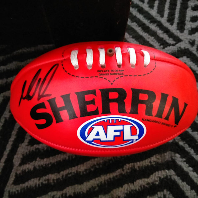 Michael Voss Signed Football/Sherrin Brisbane Signed Football - Other ...