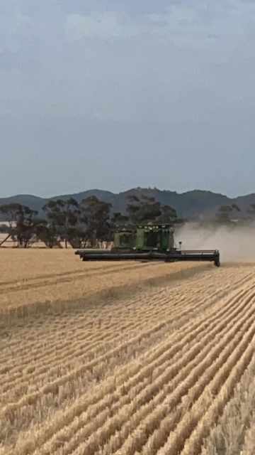 Header Driver Required | Agronomy & Farm Services | Gumtree Australia ...