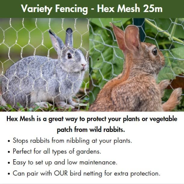 Hex Mesh (Chicken/Rabbit Wire) 25m Rolls – FROM $25 - Building ...