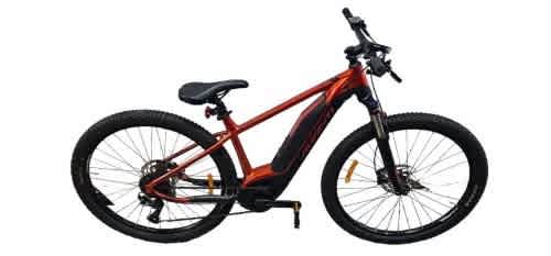 Avanti Unisex Orange AL-6061 E bike - 024900242733 - Men's Bicycles in ...