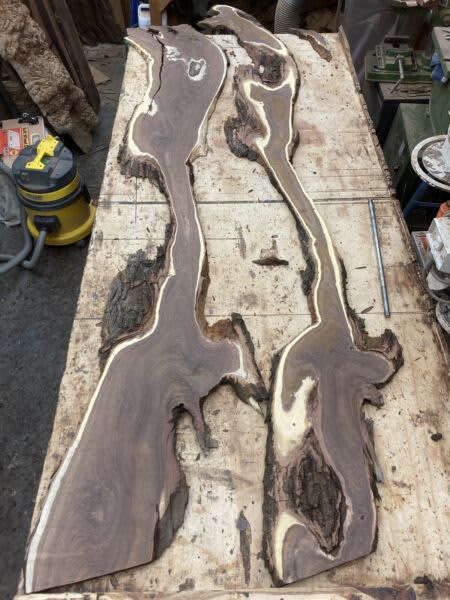 Unique gidgee hardwood live edge timber slabs for epoxy wall art ...