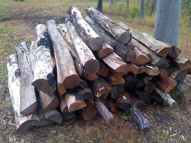 Split Post Ironbark Fence Round Strainer Stays - Building Materials in ...