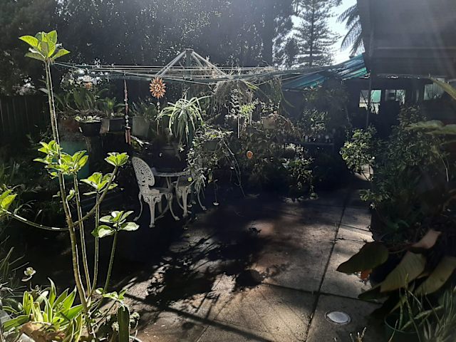 Giant Deceased Estate Yard Sale Kirrawee - Garage Sale in Kirrawee NSW ...