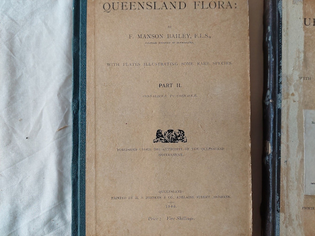 Queensland Flora - F Manson Bailey 1900 - Collectables in Lutana TAS | Gumtree Australia
