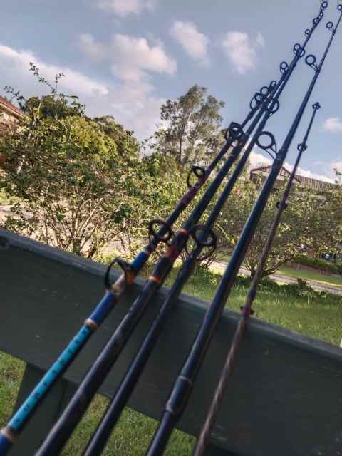 Daiwa saltist 6-10kg and 5 fishing rods $200 - Fishing in Nerang QLD ...
