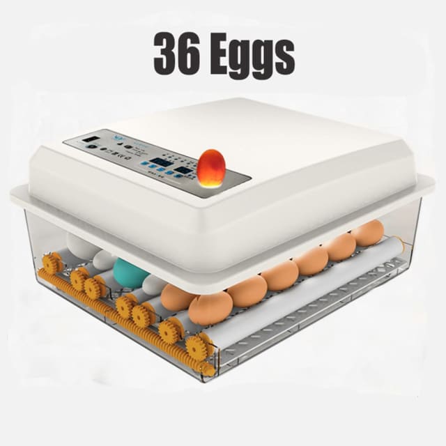 36 Egg Incubator - Free Delivery | Pet Products | Gumtree Australia ...