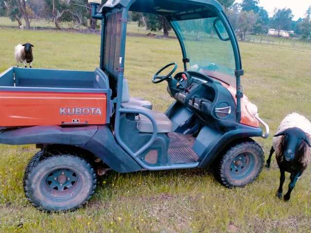 Buggy UTV Side by Side and Quads 4 Wheelers Wanted to Buy For CASH ...