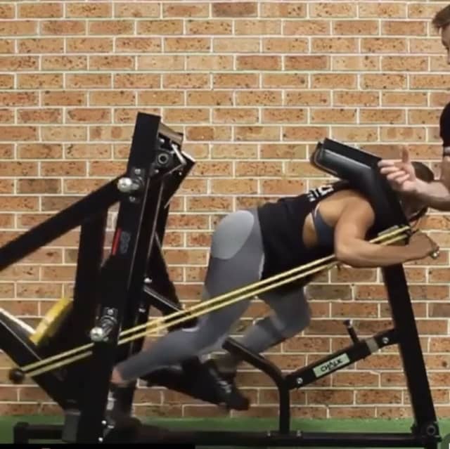 Power Runner Lunge Leg Press Squat Machine Iso Lateral Commercial Gym ...