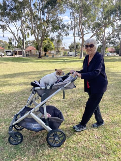 DOG MINDER/DOG SITTER | Sitting | Gumtree Australia Holdfast Bay ...