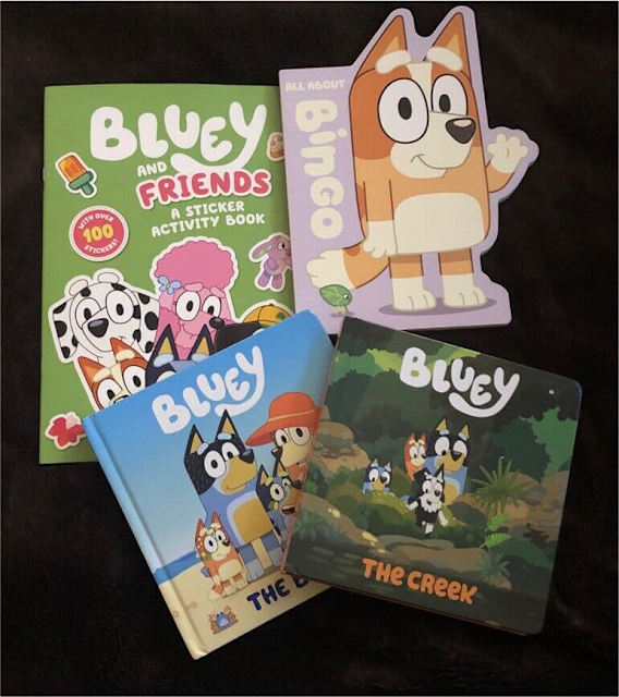 BLUEY CHILDREN’S BOOKS INDIVIDUALLY PRICED | Children's Books | Gumtree ...