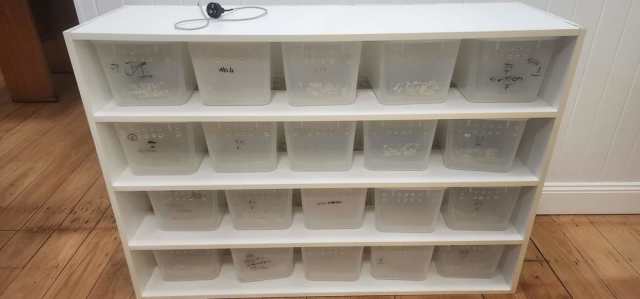 20 bay Hatchling Rack comes with all tubs heat cord | Reptiles ...