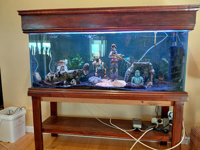 200L Fish Tank with timber stand and accessories | Pet Products ...
