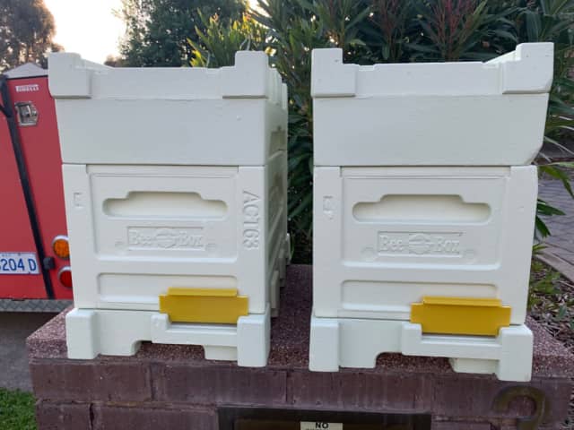 Bee Hive 6 Frame NUC/Queen Mating Hive & Feeder - Paradise Honey NEW ...