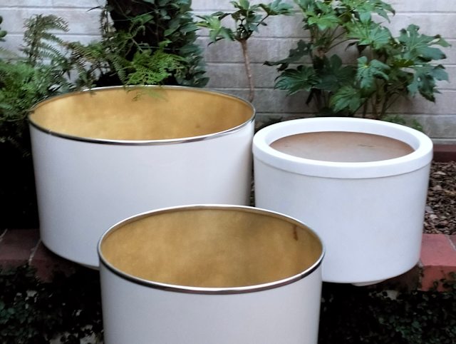 Fibreglass containers for displaying your indoor plants - Other Home ...