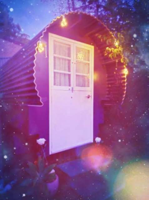 gypsy wagon tarot and psychic readings | Other Business Services ...