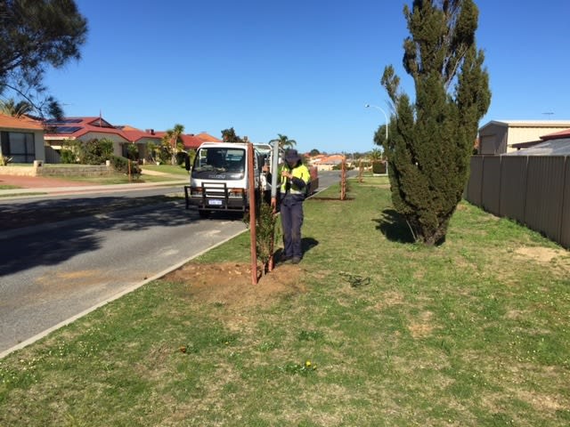 HR driver for Tree watering position | Gardening & Landscaping ...