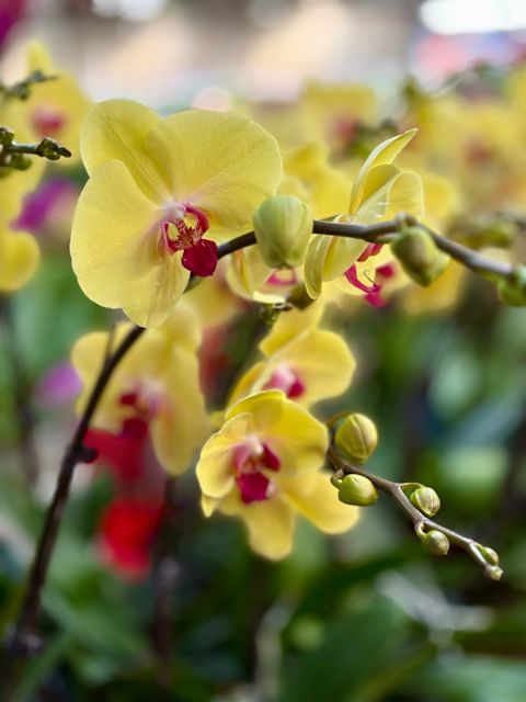 House Cleaning Couple Required | Cleaner & Housekeeper | Gumtree ...