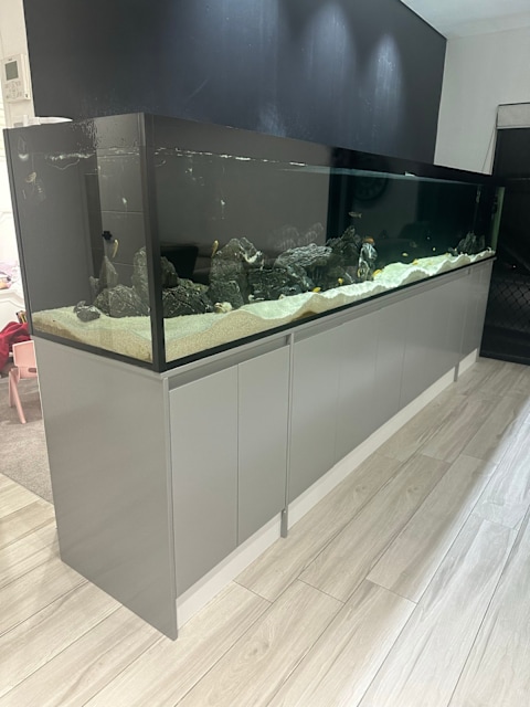 12 Ft FISH Tank Lake Tanganyika | Pet Products | Gumtree Australia ...
