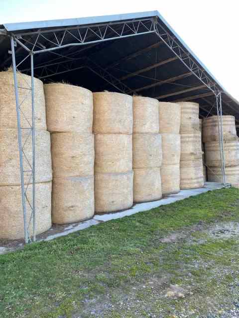 Hay for sale | Livestock | Gumtree Australia Devonport Area - Spreyton ...