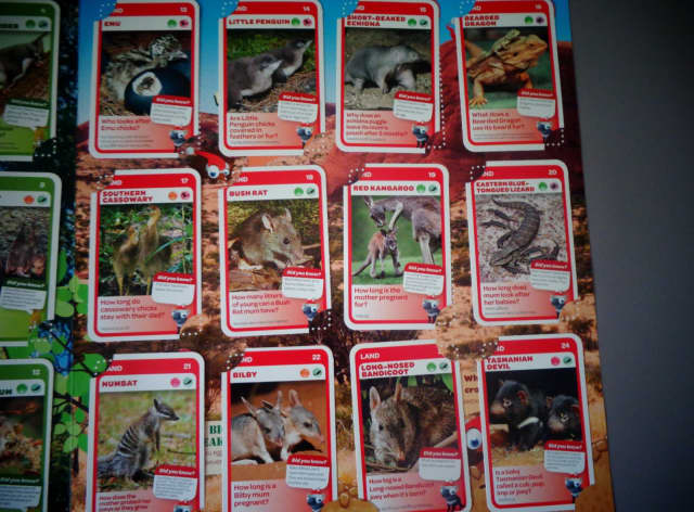 Woolworths Wildlife Baby Animal Cards - Sold Separately - 2 for $1 ...