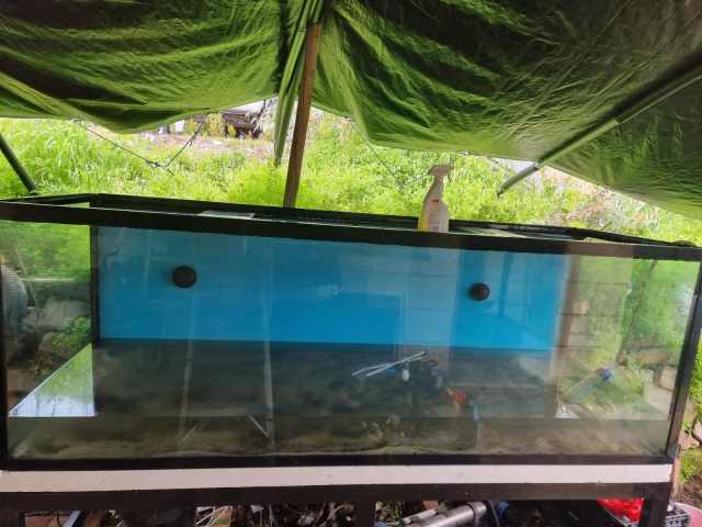 Massive Aquarium fish tank 8ft | Pet Products | Gumtree Australia Port ...