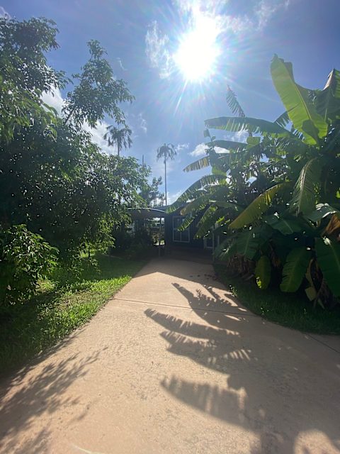 33 Zenith Circuit, Woodroffe, Northern Territory 830 - for Rent ...