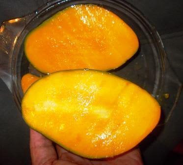 OX HEART/BULLOCK HEART MANGO TREES IN GROW BAGS [Out of stock] - Plants ...