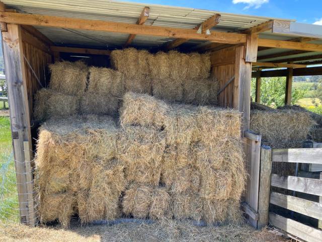 Hay squares baled 7-1-25 | Livestock | Gumtree Australia Huon Valley ...