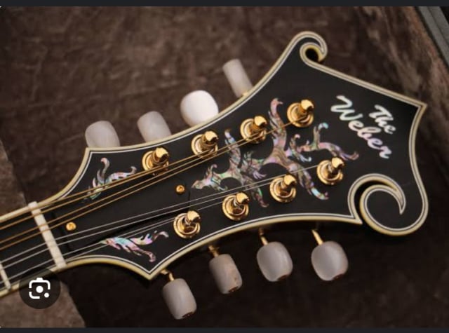 Mandolin wanted Weber Gibson Collings - Other Musical Instruments in ...